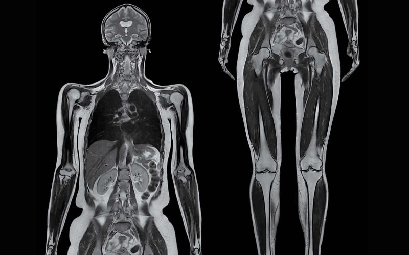 Portfolio Archive | Restorative Imaging Institute